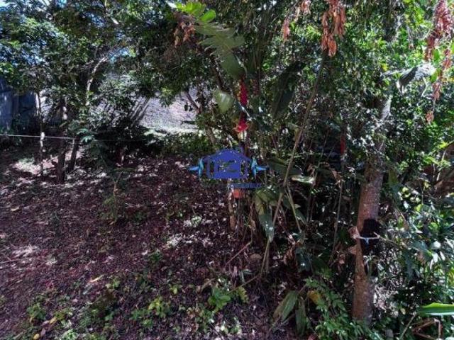 Casa no bairro sao dimas, Porao possui 01 quartos, sala, cozinha, banheiro e area de serviço e no
