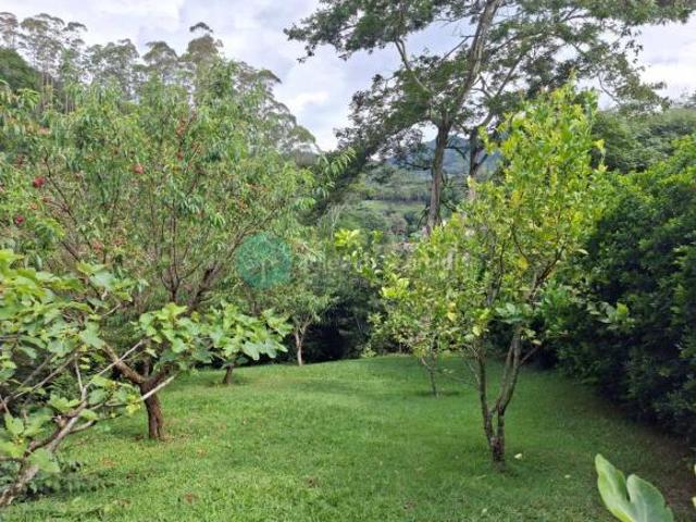 Casa no Centro com Privacidade, vista e mata nativa
