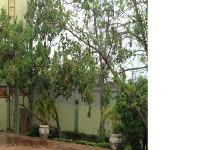 CASA NO JARDIM GLORIA