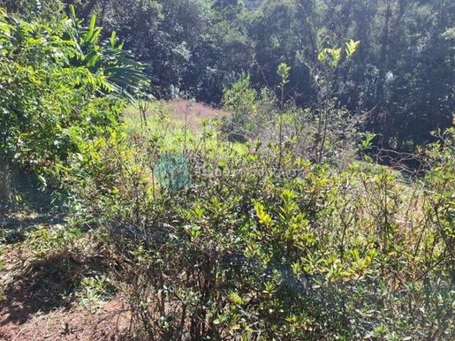 Casa Nova de 250m² em Santo Antônio do Pinhal com Privacidade