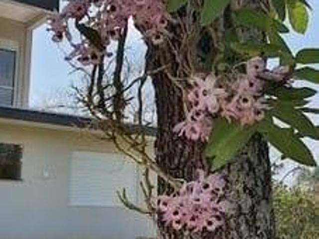 Casa à venda 3 Quartos, 1 Suite, 4 Vagas, 835M², Condomínio Altos do Cataguá, Taubaté SP | RESERVA