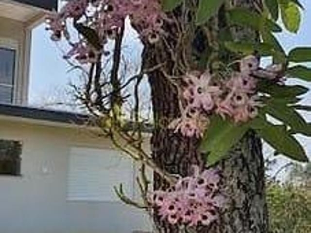 Casa à venda 3 Quartos, 1 Suite, 4 Vagas, 835M², Condomínio Altos do Cataguá, Taubaté SP RESERVA