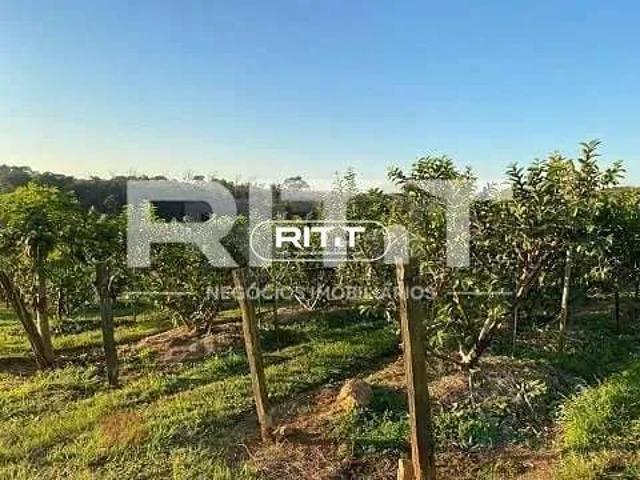 Casa à venda 2 Quartos, 1 Suite, 2 Vagas, 26455M², Reforma Agrária, Valinhos SP