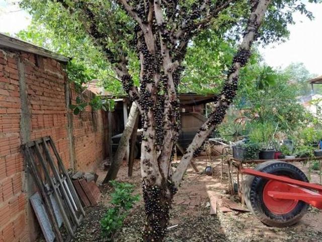 Casa à venda, 2 quartos, 3 vagas, Jardim Palmares I Saltinho/SP