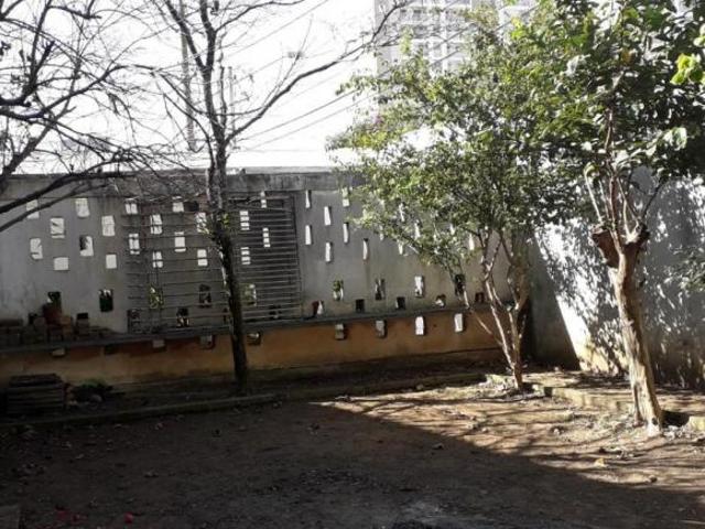 Casa à Venda Butantã, 3 Quartos, 620 m2
