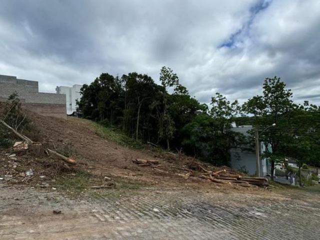 Casa à venda em Caxias do Sul, Colina Sorriso, com 3 quartos, 349m²