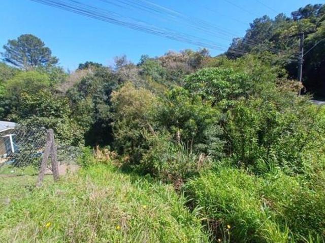 Casa a venda em Canela