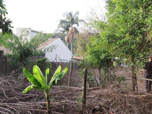 casa à venda em Joaquim Egídio