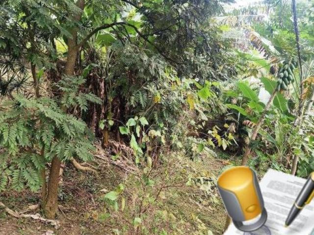 Casa à venda em Santana de Parnaíba, Jardim Rancho Alegre, com 3 quartos, com 1500 m²