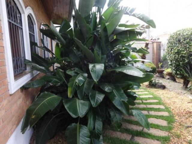 casa à venda em Parque Taquaral