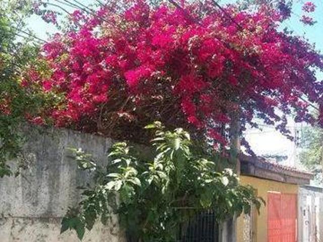 Casa à Venda em Picanco, Guarulhos SP