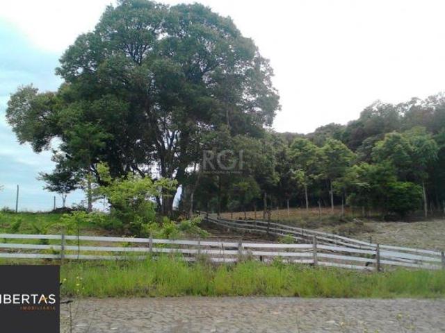 Casa à venda no Centro