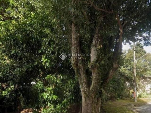 Casa à venda no Jardim em Santo André