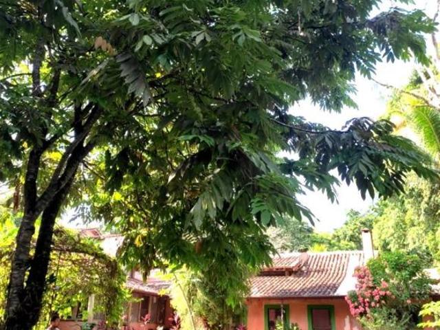 Casa à venda no paraíso de Ilhabela, Cocaia 3 suítes, 3 Vagas, cachoeira, pets, jardim