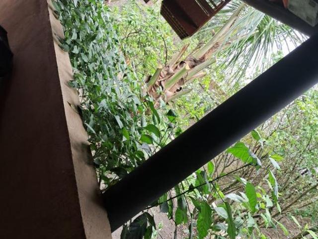 CASA A VENDA NA PRAIA EM ITANHAÉM/SP