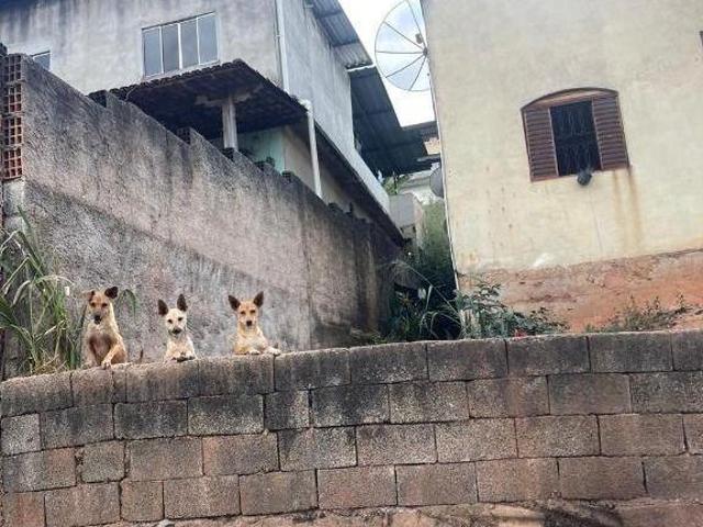 Casa à venda por R$ 250.000 Mangabeiras Sabará/MG