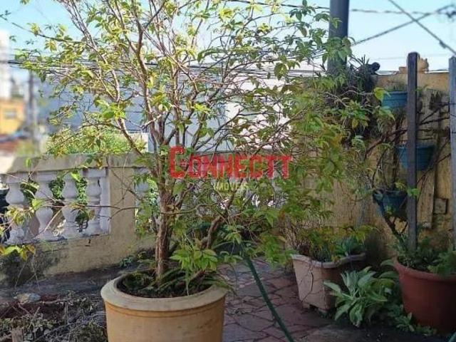 Casa à venda, Vila Tibério, Ribeirão Preto, SP
