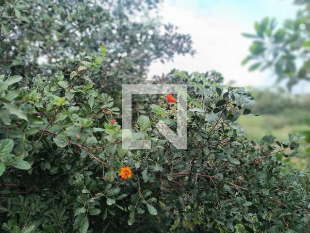 Casa, Ajuda de Cima, 2 Quartos, 70 m2 Macaé