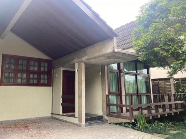 Casa Aldeia da Serra Mor. Pinheiros