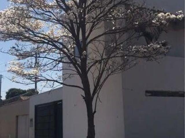 Casa Alto Padrão p Waleria01