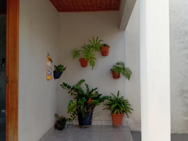 Casa Aluguel Campo Grande MS Santo Antonio