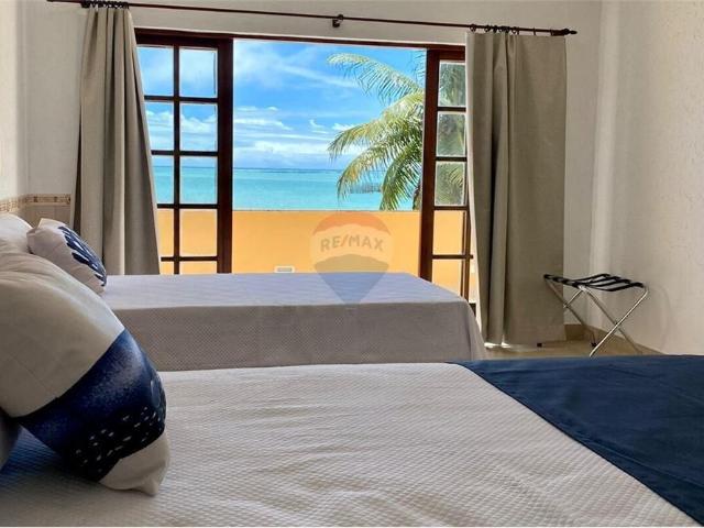 Casa Amarela em Maragogi Praia Ponta do Mangue