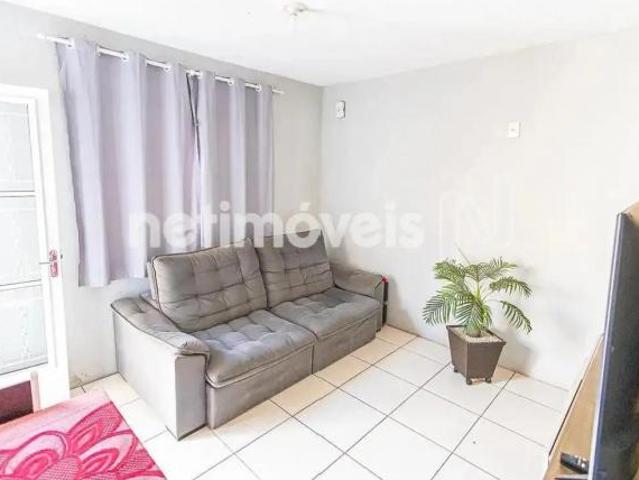 Casa ampla no conjunto Celso Machado | 7 Quartos e 3 moradias
