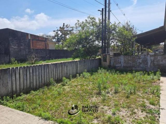 Casa ampla com edícula no Primavera