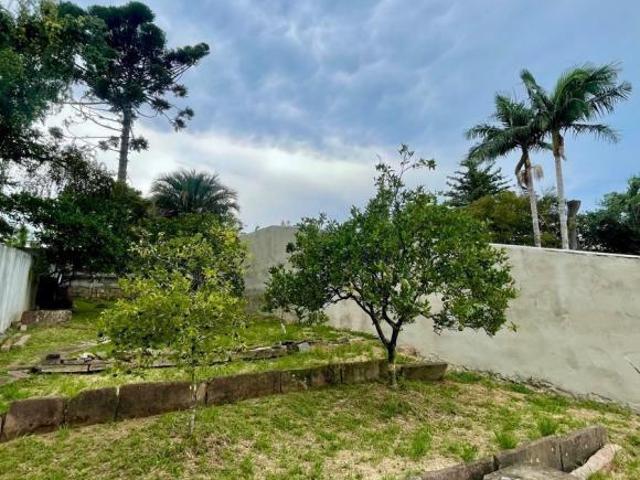 Casa ampla com pátio gourmet e árvores frutíferas