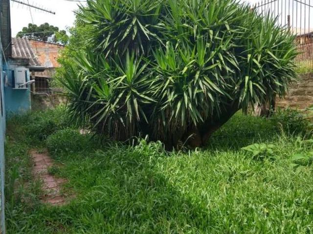 Casa, Aparecida, Alvorada, RS