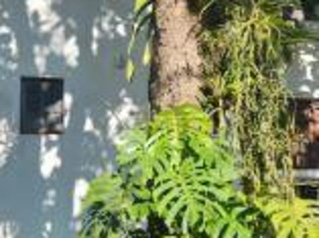 Casa Área Verde Cambury Litoral Norte São Sebastião/SP