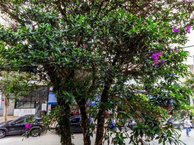 Casa assobradada com quintal, 2 dormitórios, 110 m2 bem distribuídos Perdizes