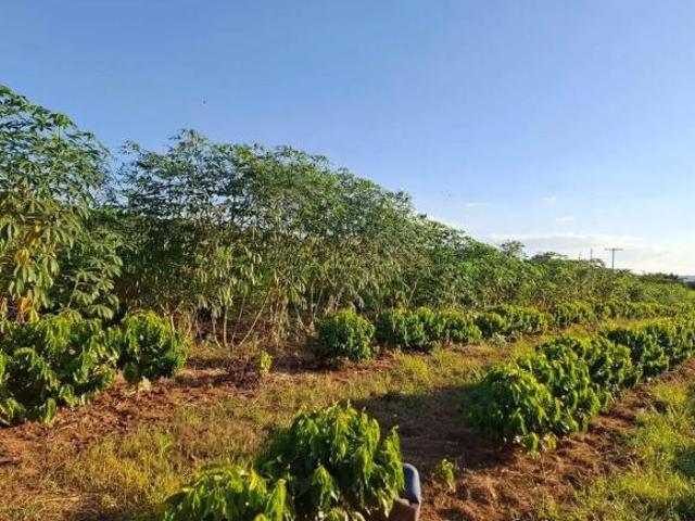 Casa,café,pastos,represa