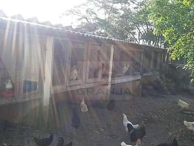 Casa com 4 dormitórios à venda, 11 m² por R$ 5.000.000,00 Granja Viana Cotia/SP