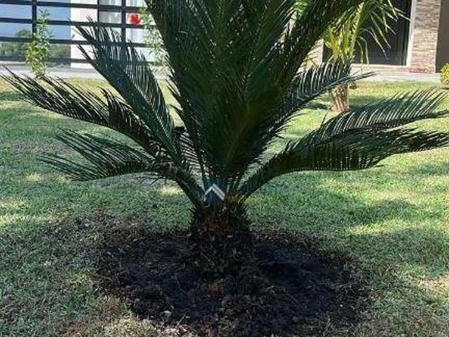 Casa com 4 dormitórios à venda, 270 m² por R$ 1.900.000,00 Residencial Ibi aram II Itupeva/SP