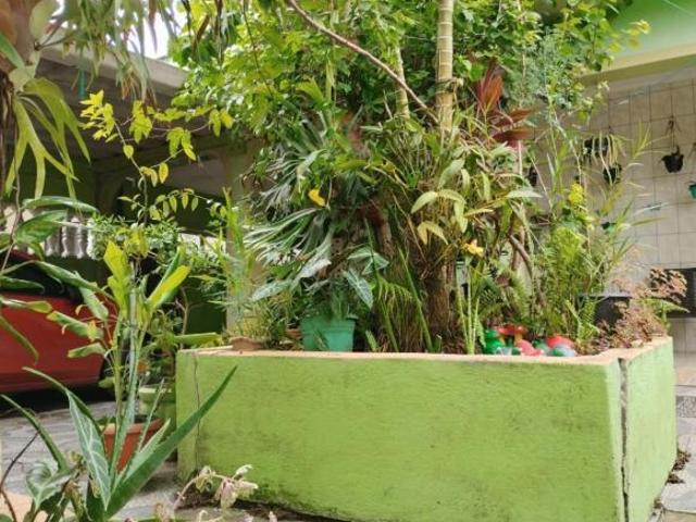 Casa com 4 dormitórios à venda 300 m² Campos Elíseos Itanhaém/SP