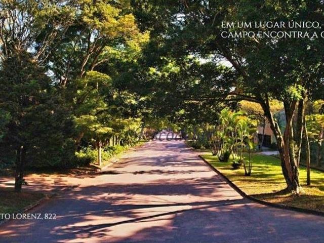 Casa com 4 dormitórios à venda, 494 m² por R$ 8.895.780,00 Jardim Guedala São Paulo/SP