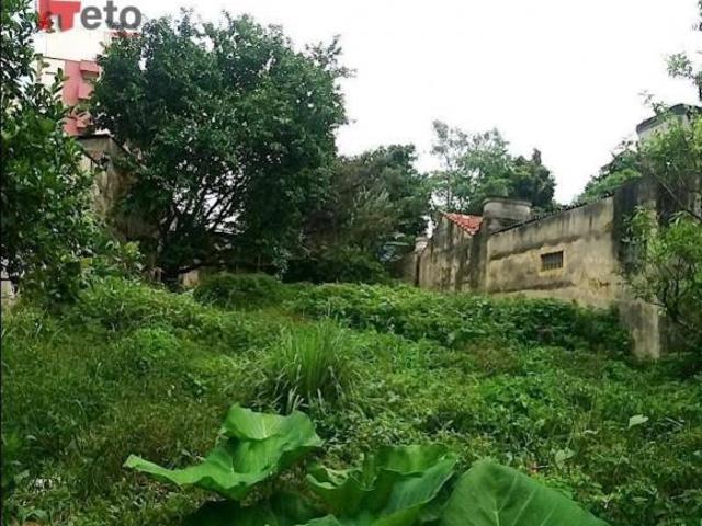 Casa com 4 dormitórios à venda, 500 m² por R$ 2.500.000,00 Pirituba São Paulo/SP