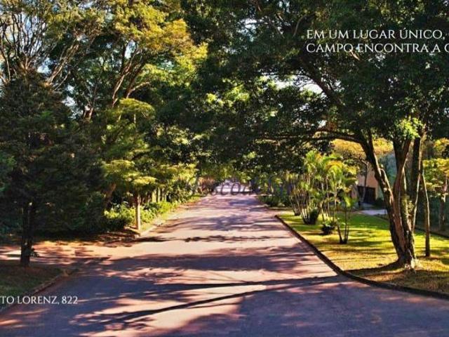 Casa com 4 dormitórios à venda, 567 m² por R$ 10.214.460,00 Jardim Guedala São Paulo/SP