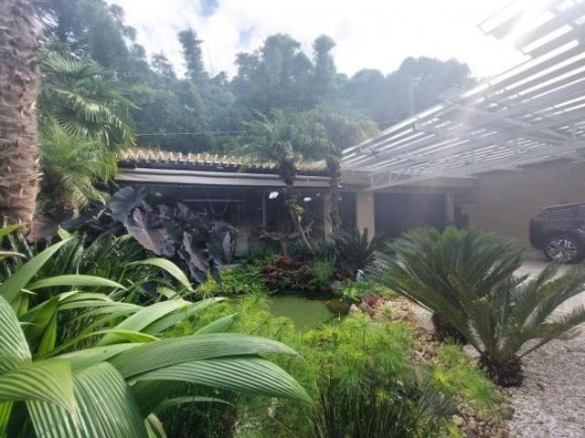 Casa com 4 dormitórios à venda, 700 m² por R$ 4.500,000 Horto Florestal São Paulo/SP