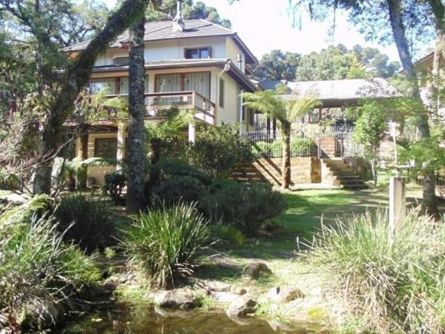Casa com 4 dormitórios à venda Vila Suiça Canela/RS