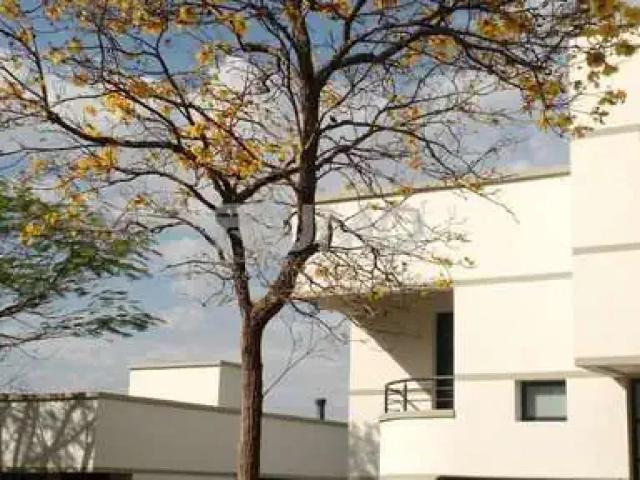 Casa com 4 quartos para alugar na Olympio Pattaro.587, Loteamento Residencial Barão do Café, Campinas