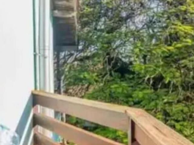 Casa com 5 quartos à venda na Rua Doutor Possidônio Cunha, 62, Vila Assunção, Porto Alegre
