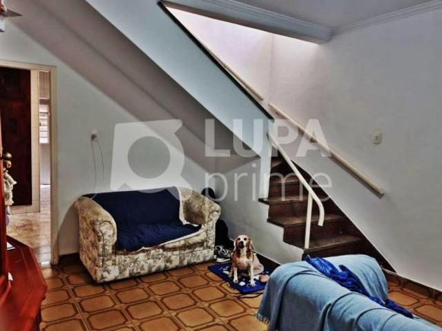 CASA COM 8 QUARTOS E 20 VAGAS DE GARAGEM À VENDA NA VILA GUILHERME