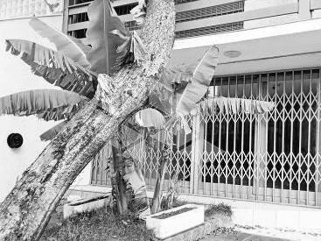 Casa com 05 dormitórios no Bairro Azenha em Porto Alegre RS