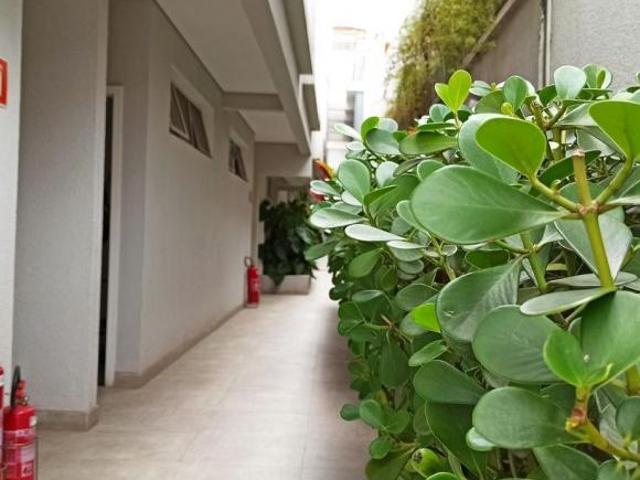 Casa com 2 dormitórios à venda, 103 m² por R 885.000,00 Cambuci São Paulo/SP