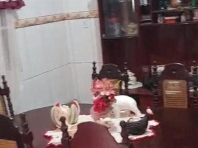 Casa com 2 dormitórios à venda, 143 m² por R$ 480.000 Lagoa Dourada Cruzeiro/SP