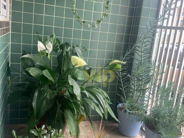 Casa com 2 dormitórios à venda, 220 m² por R$ 350.000 Jardim Amazonas Pouso Alegre/Minas Gerais