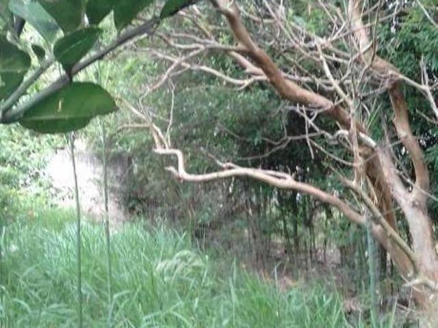 Casa com 2 dormitórios à venda, Itapuã Viamão/RS