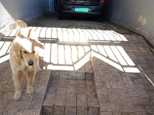 Casa com 2 quartos à venda em Vila maringá SP